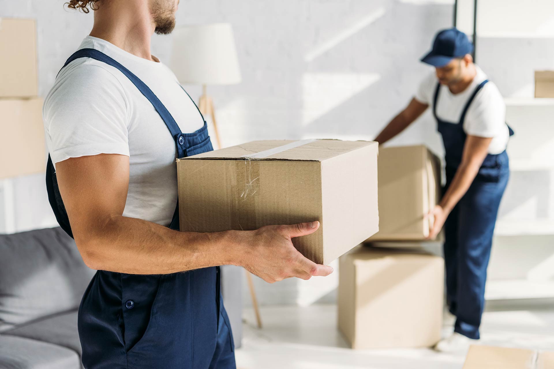 Moving Services - Progress Restoration